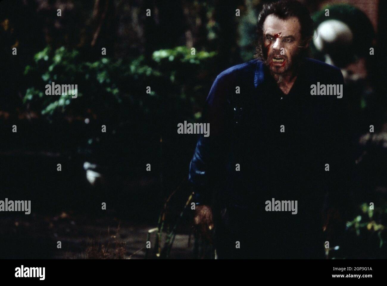 WOLF, Jack Nicholson 1994. ph: Francois Duhamel / ©Columbia Pictures ...