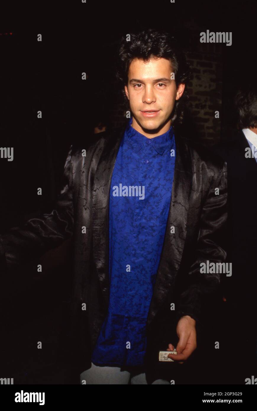 Brian Robbins Circa 1980's Credit: Ralph Dominguez/MediaPunch Stock ...