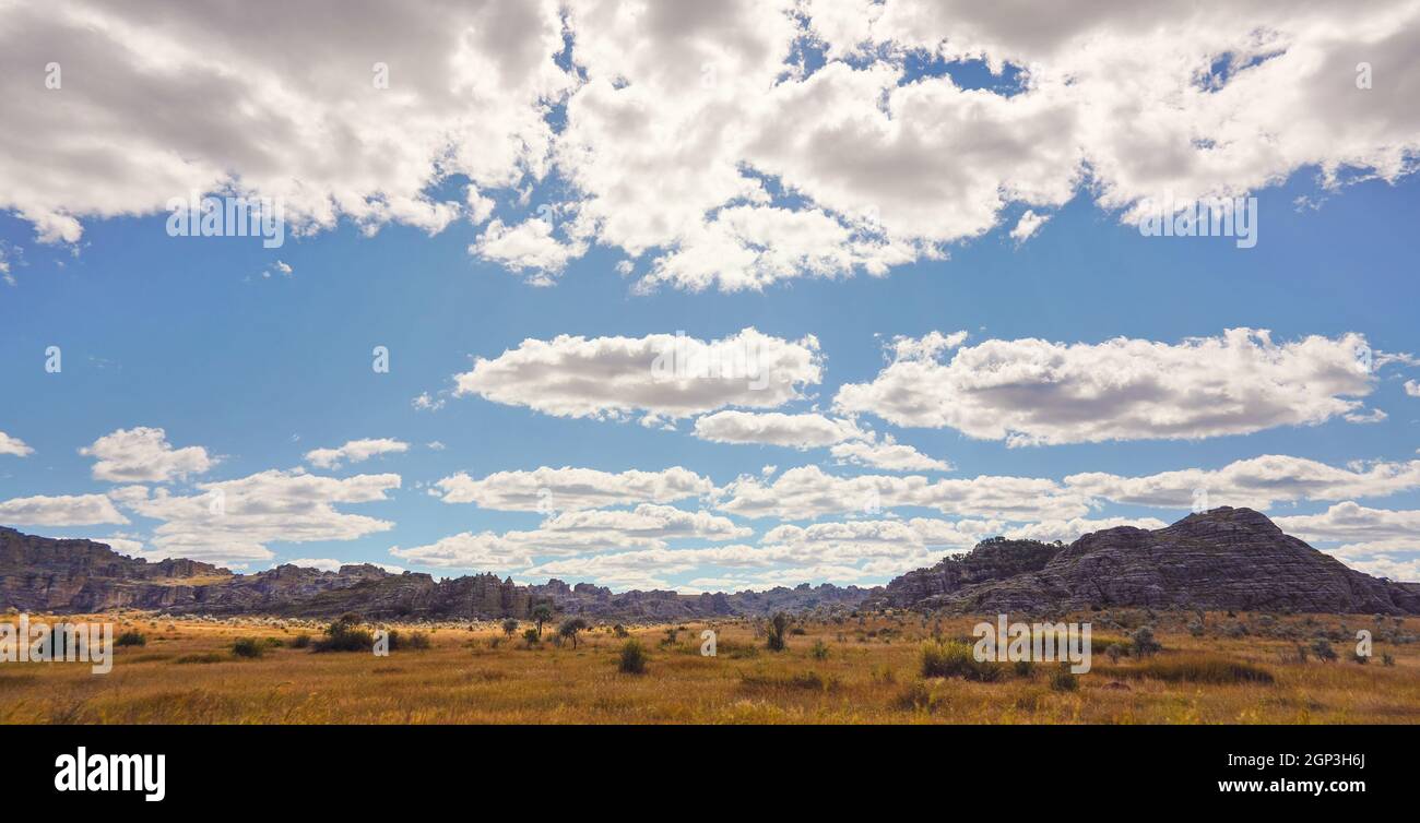 African savanna with few small palm trees, mountains in distance ...
