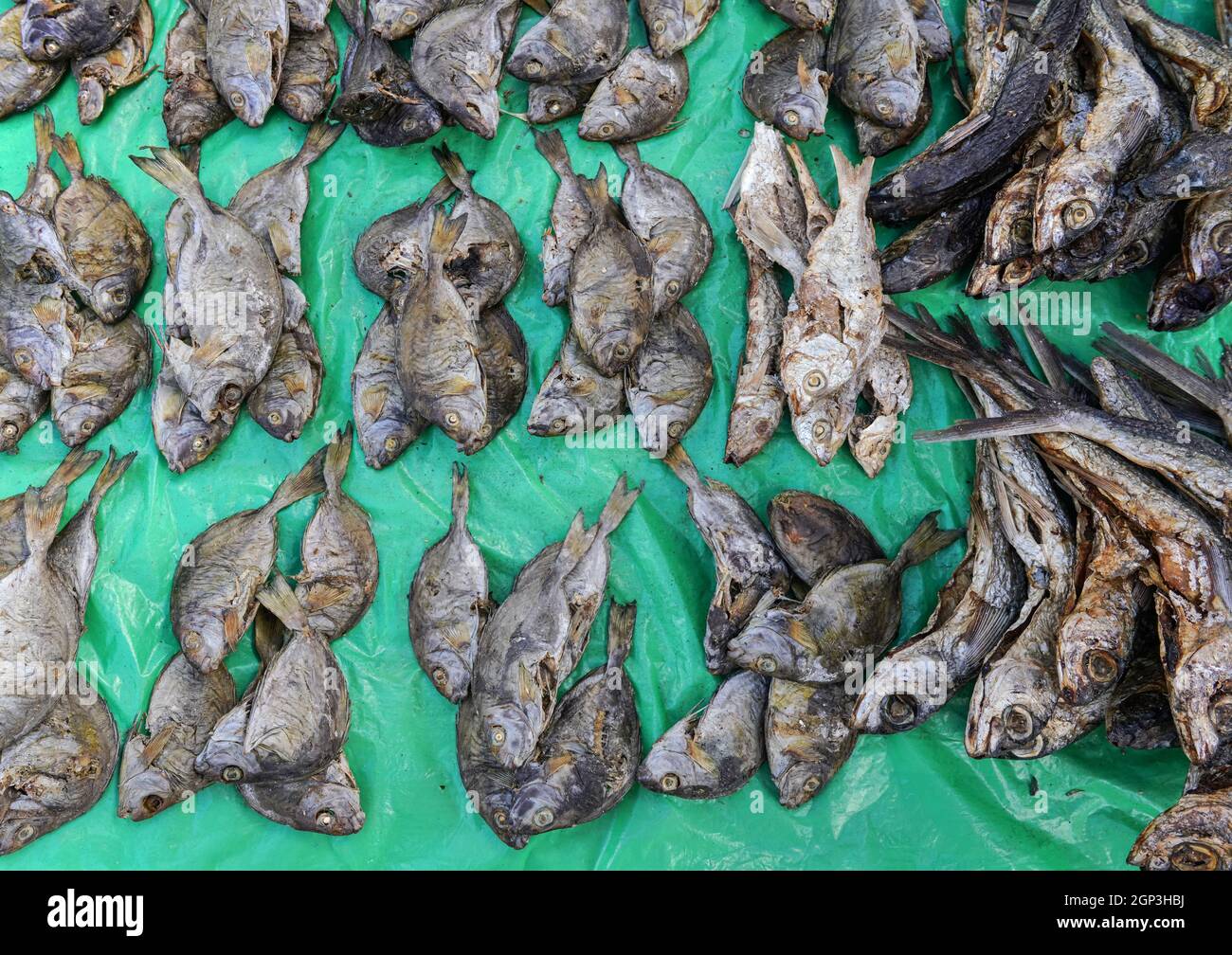 Dry fish .on food market at Ranohira, Madagascar, closeup detail Stock ...