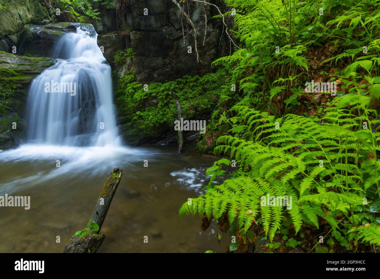 Resov waterfalls on the river Huntava in Nizky Jesenik, Northern ...