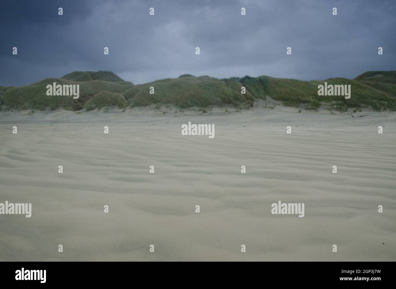 Mason Bay in Stewart Island. Rakiura National Park. New Zealand Stock ...