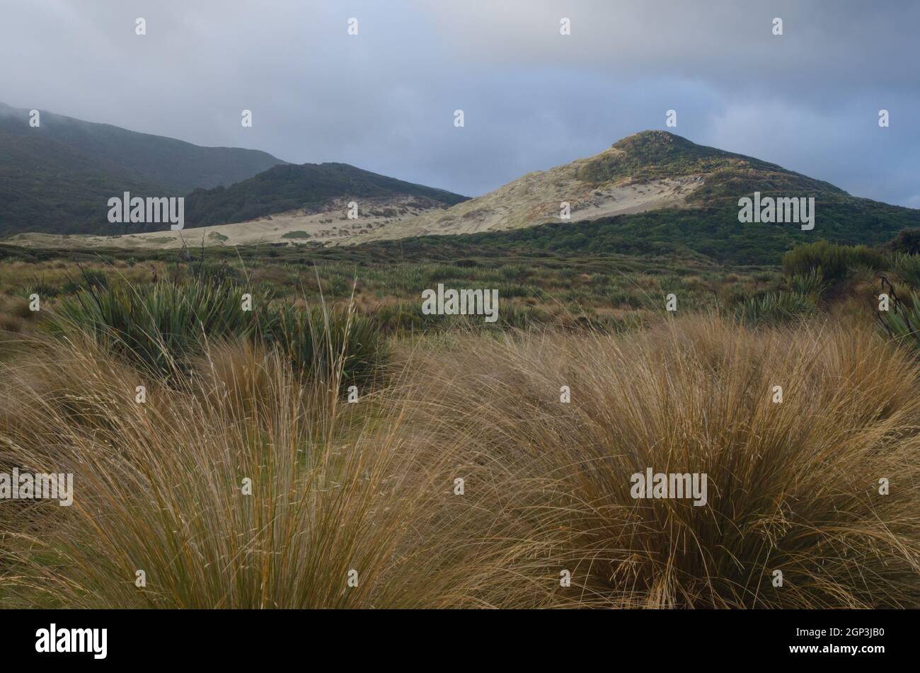 Landscape in Mason Bay. Rakiura National Park. Stewart Island. New ...