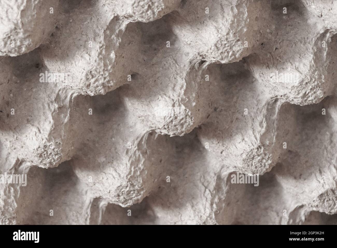 Papier mache texture. Abstract background packing for eggs Stock Photo ...