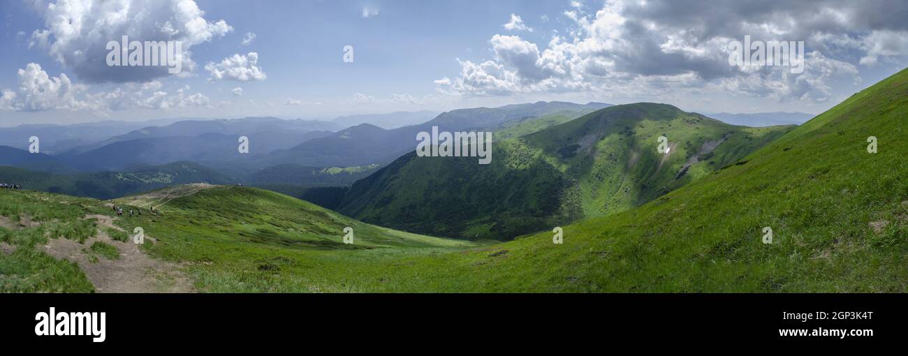 Summer landscape in the Carpathian mountains. View of Mount Hoverla ...