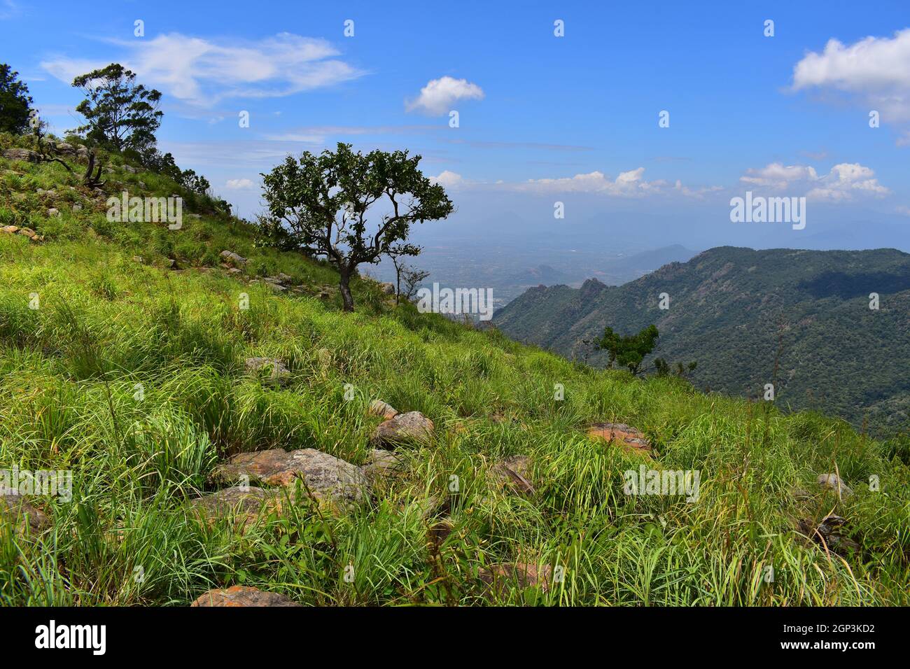 Vellimalai sivan temple hi-res stock photography and images - Alamy