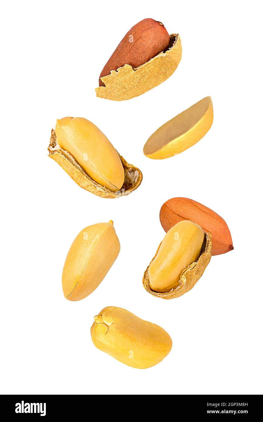 Isolated nuts. Nine flying peanuts witout shell on white with clipping ...