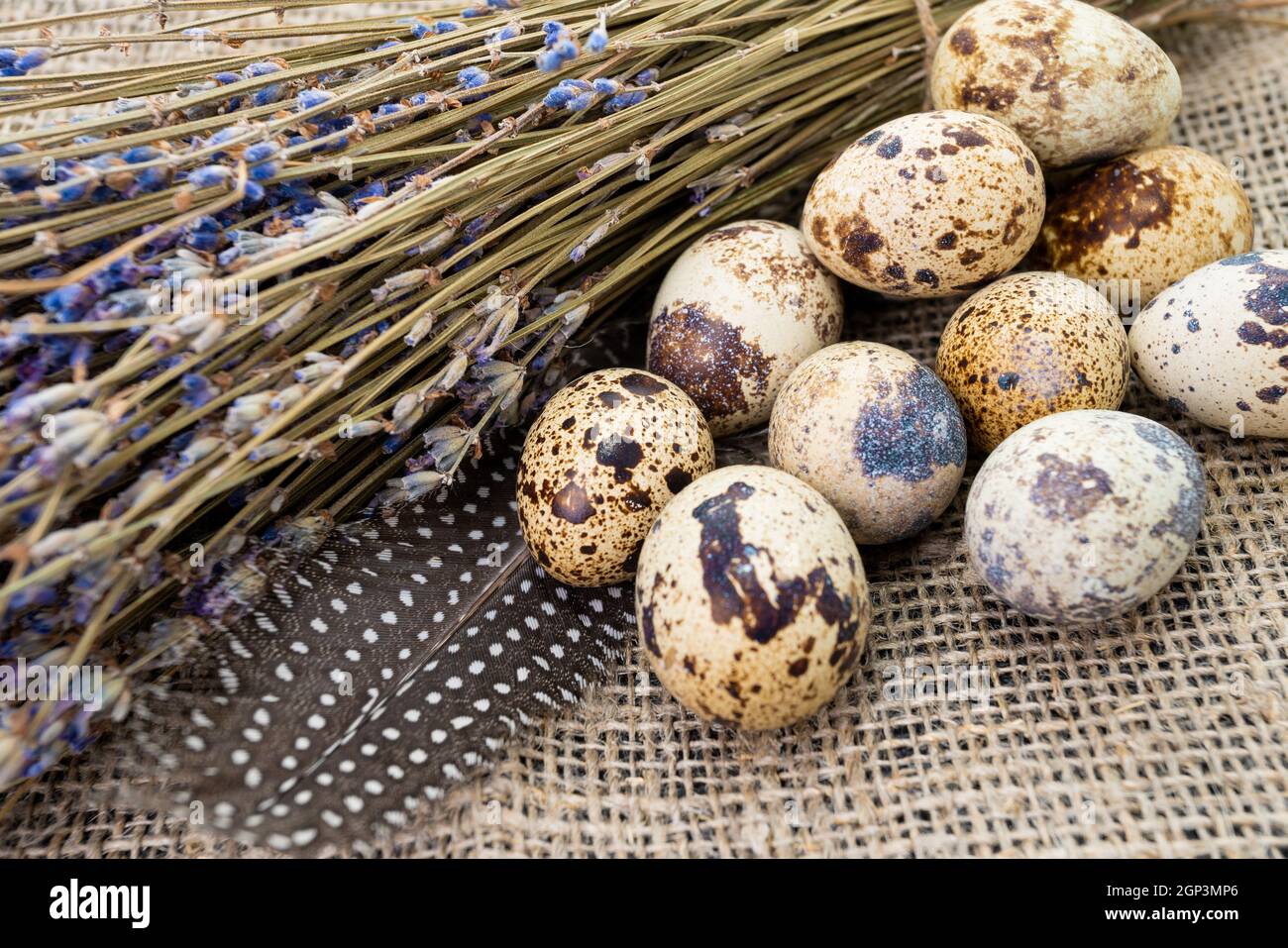 Fresh quail eggs. Rustic style Stock Photo - Alamy