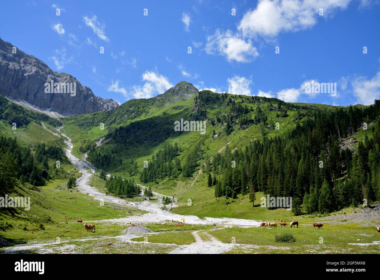 High mountain pastures in the upper part of the Obertilliach valley on ...