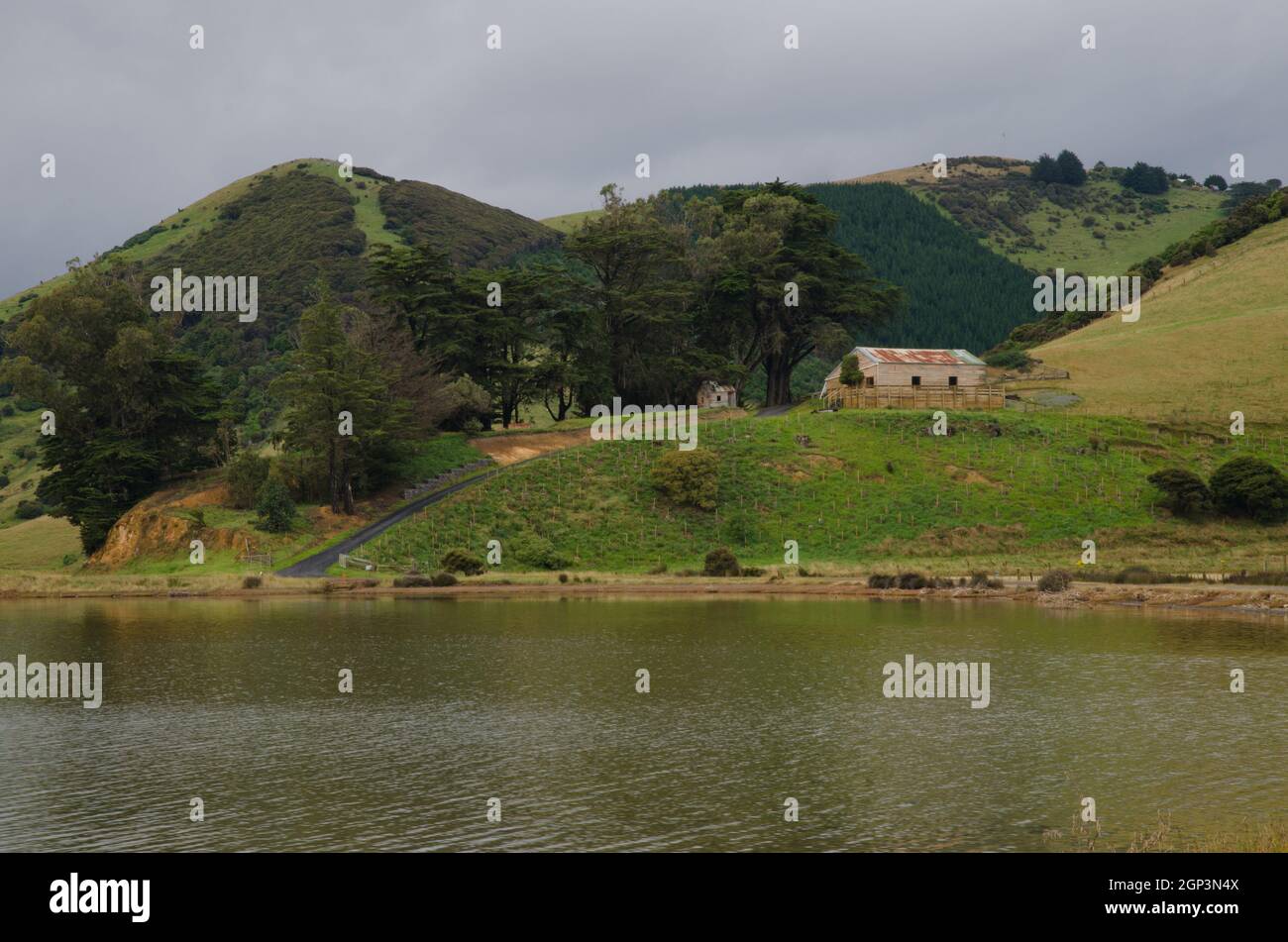 Landscape in Hoopers Inlet. Otago Peninsula. Otago. South Island. New ...