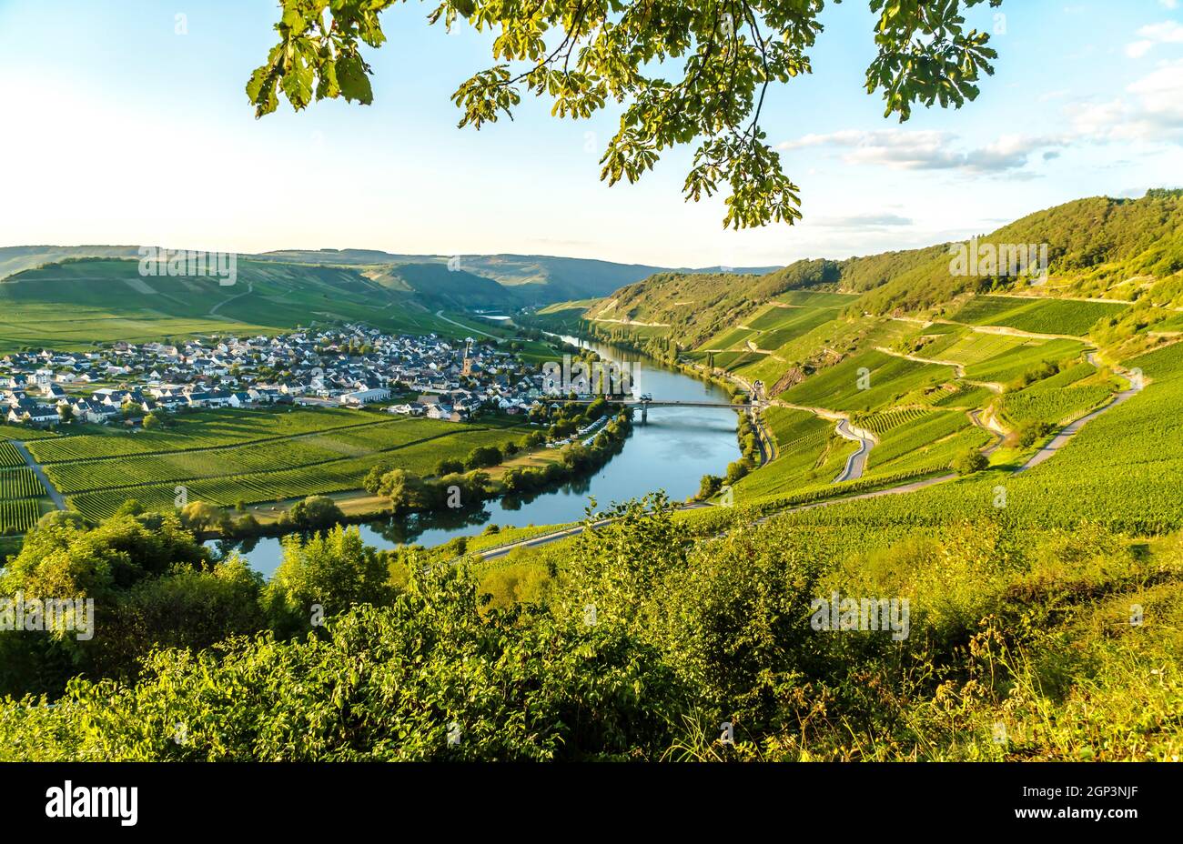 Beautiful moselle valley with view to Trittenheim in Germany Stock ...