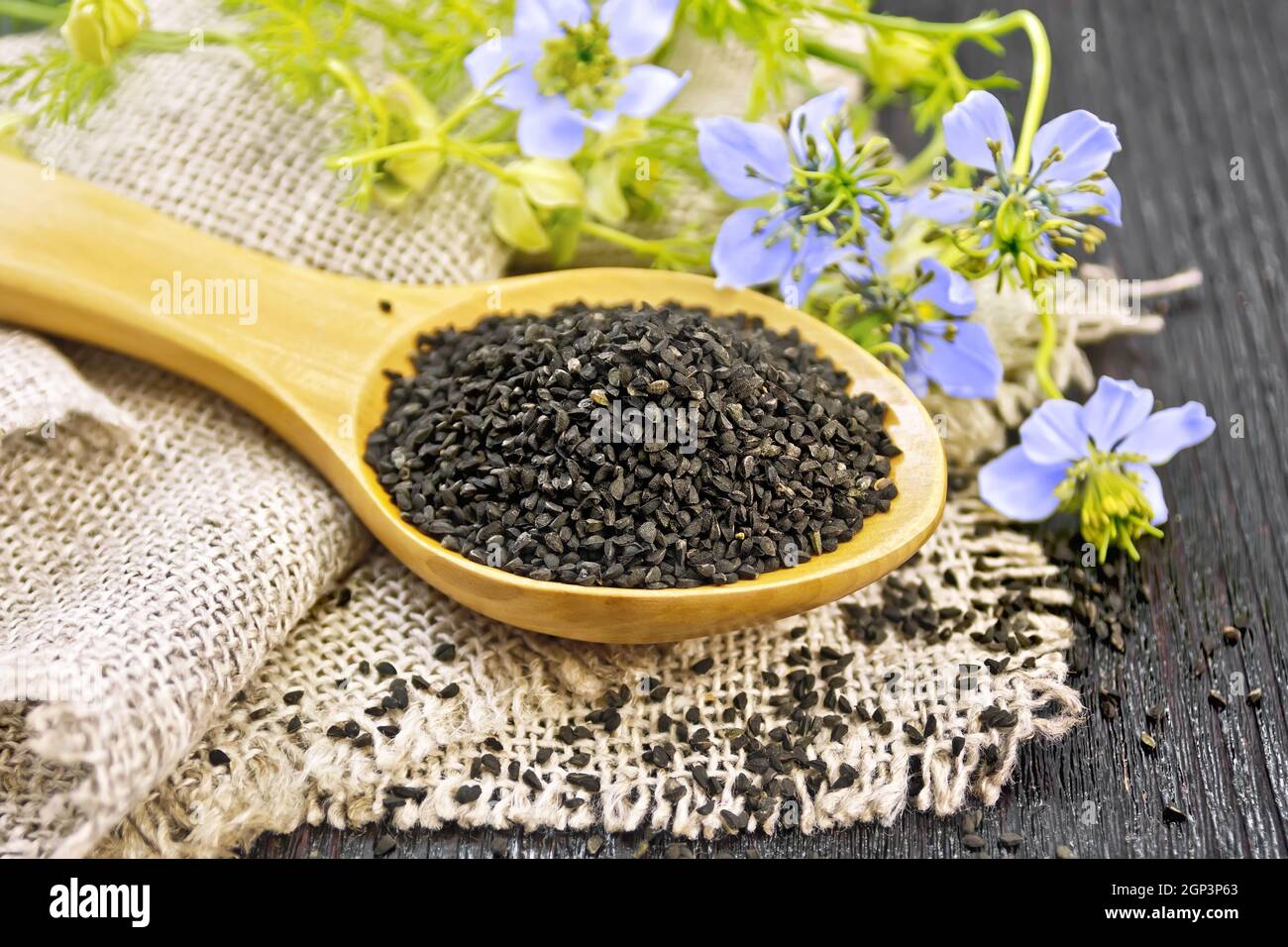 Black cumin seeds in a spoon on sacking, kalingi twigs with blue ...