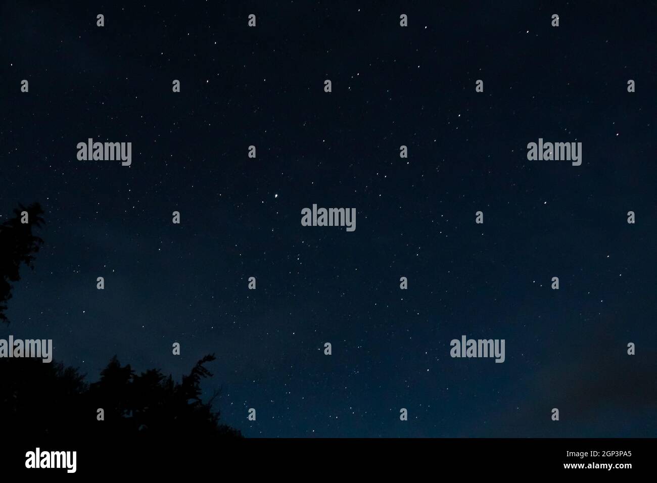 Stars at night with backlit trees Stock Photo - Alamy