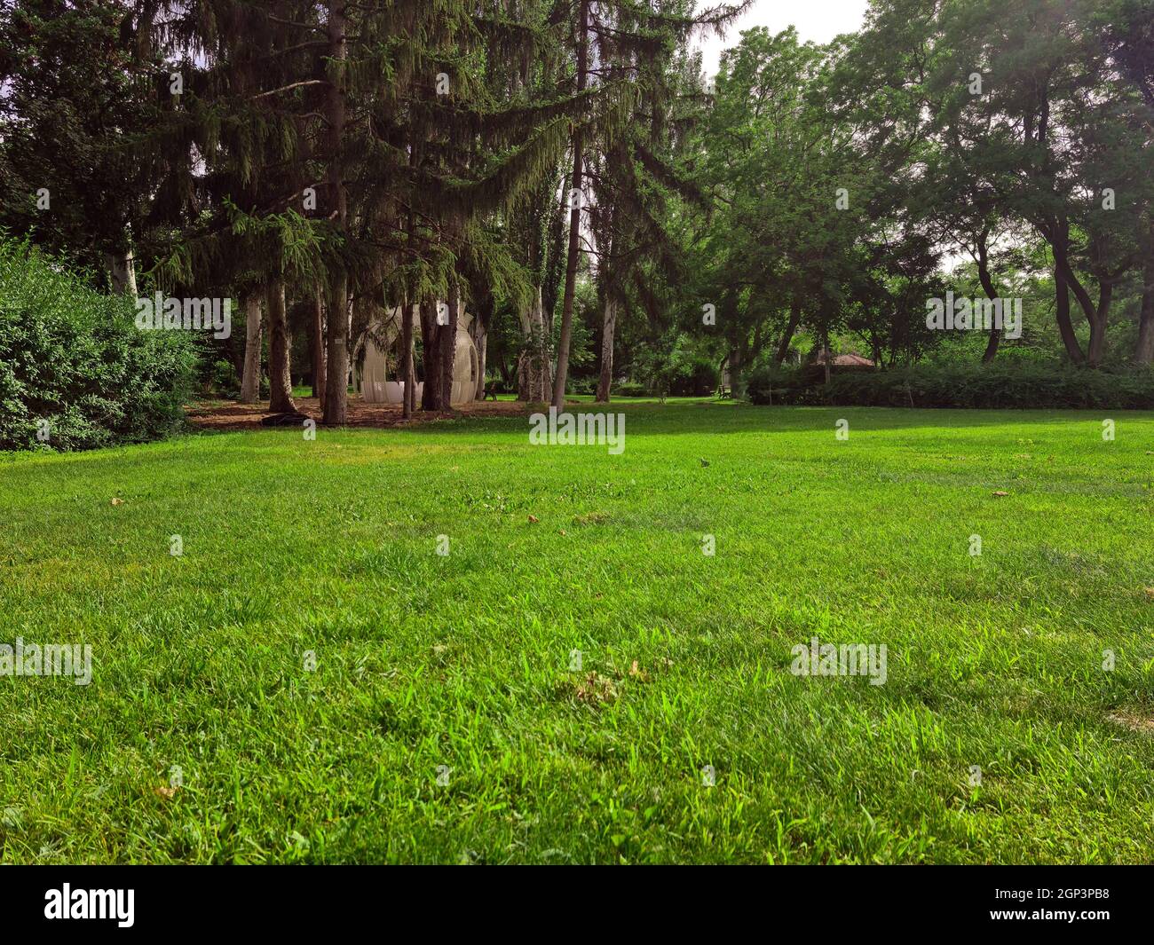 Green grass with trees in the park Stock Photo - Alamy