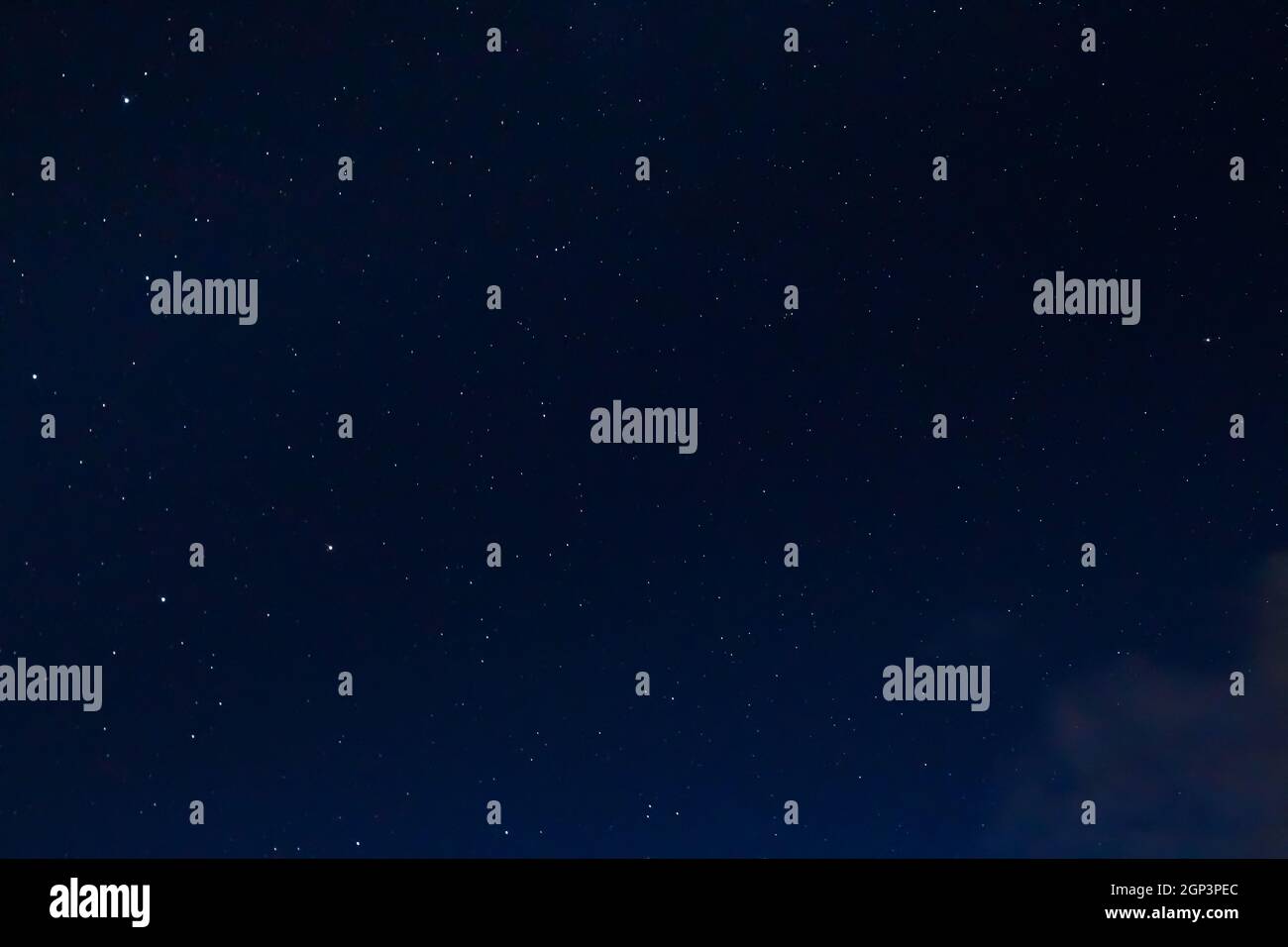 Stars at night with backlit trees Stock Photo - Alamy