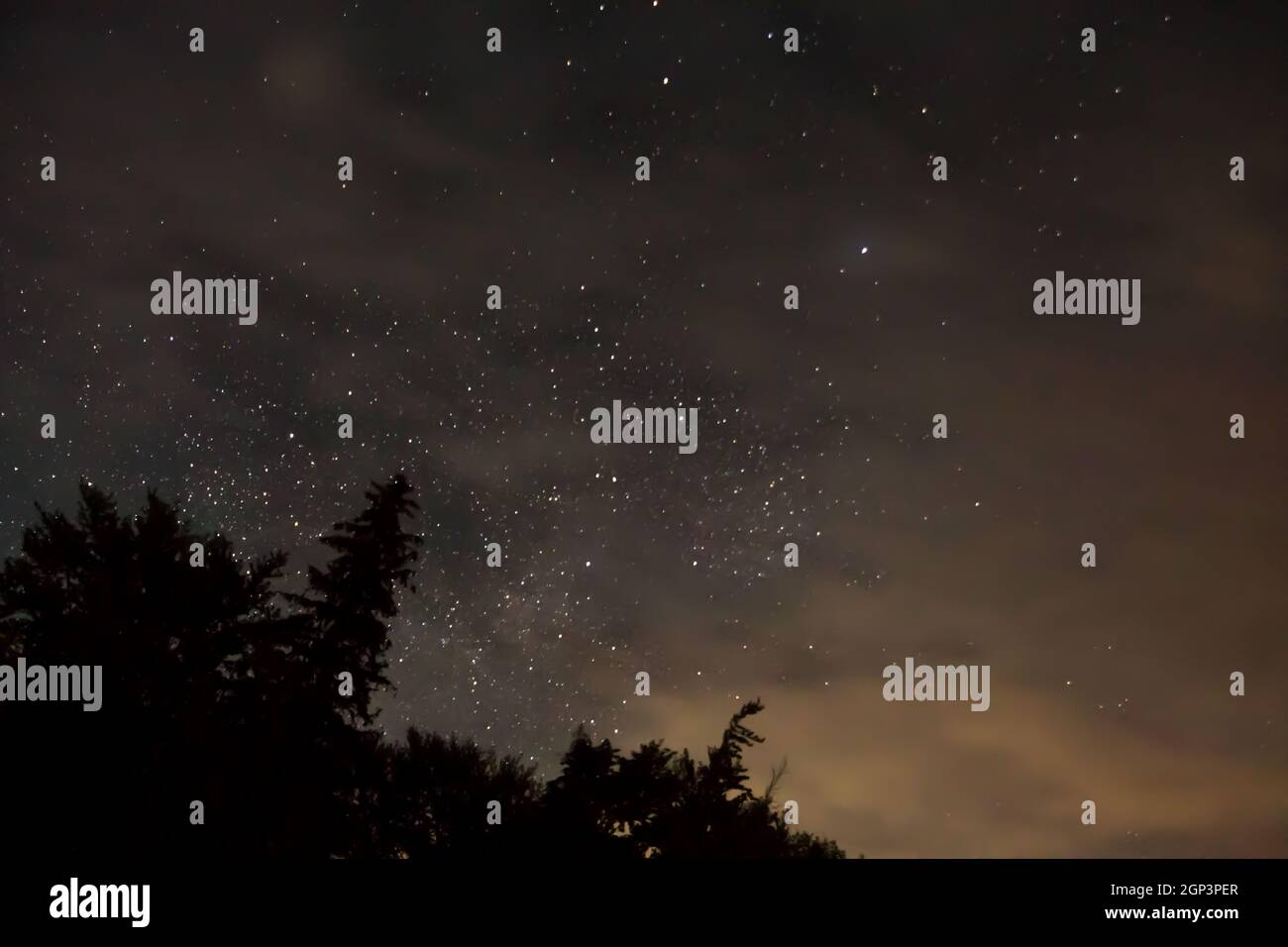 Stars at night with backlit trees Stock Photo - Alamy