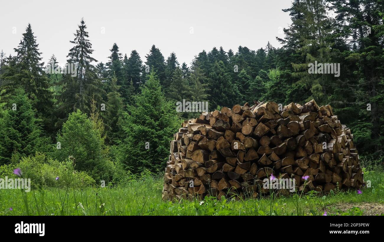 Firewood Stocks High Resolution Stock Photography and Images - Alamy