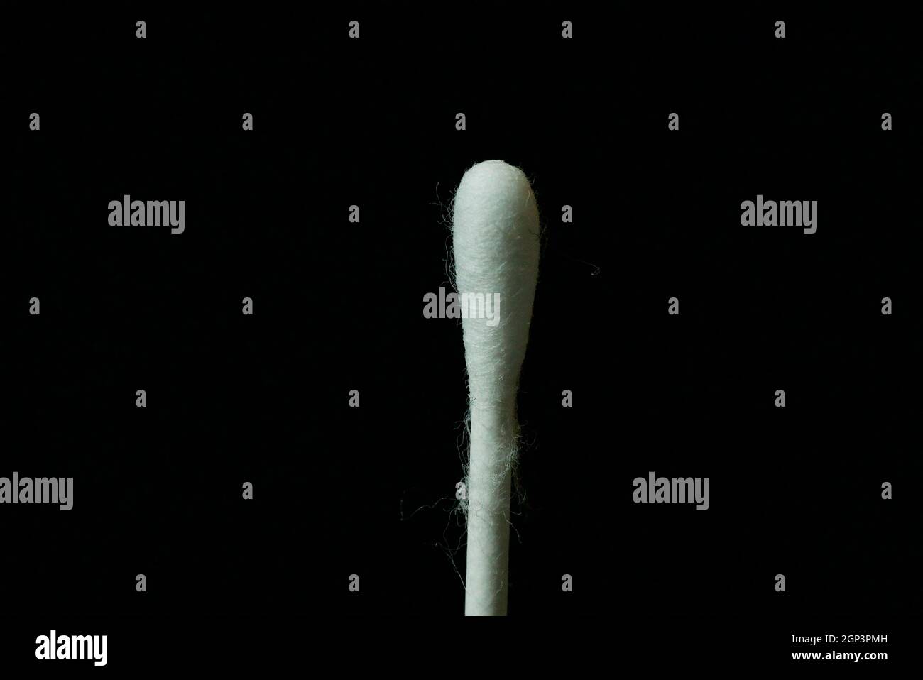Close up photo of a cotton bud isolated on a black background. Cotton ...