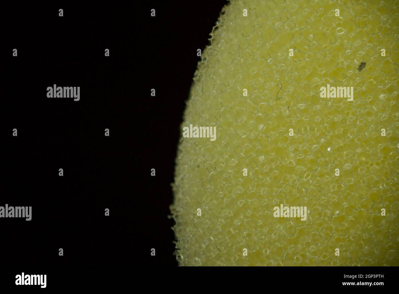 Sponge up close hi-res stock photography and images - Alamy