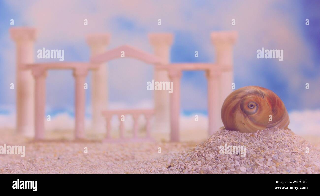 Seashell on Tropical Beach With Roman Style Ruins Stock Photo - Alamy