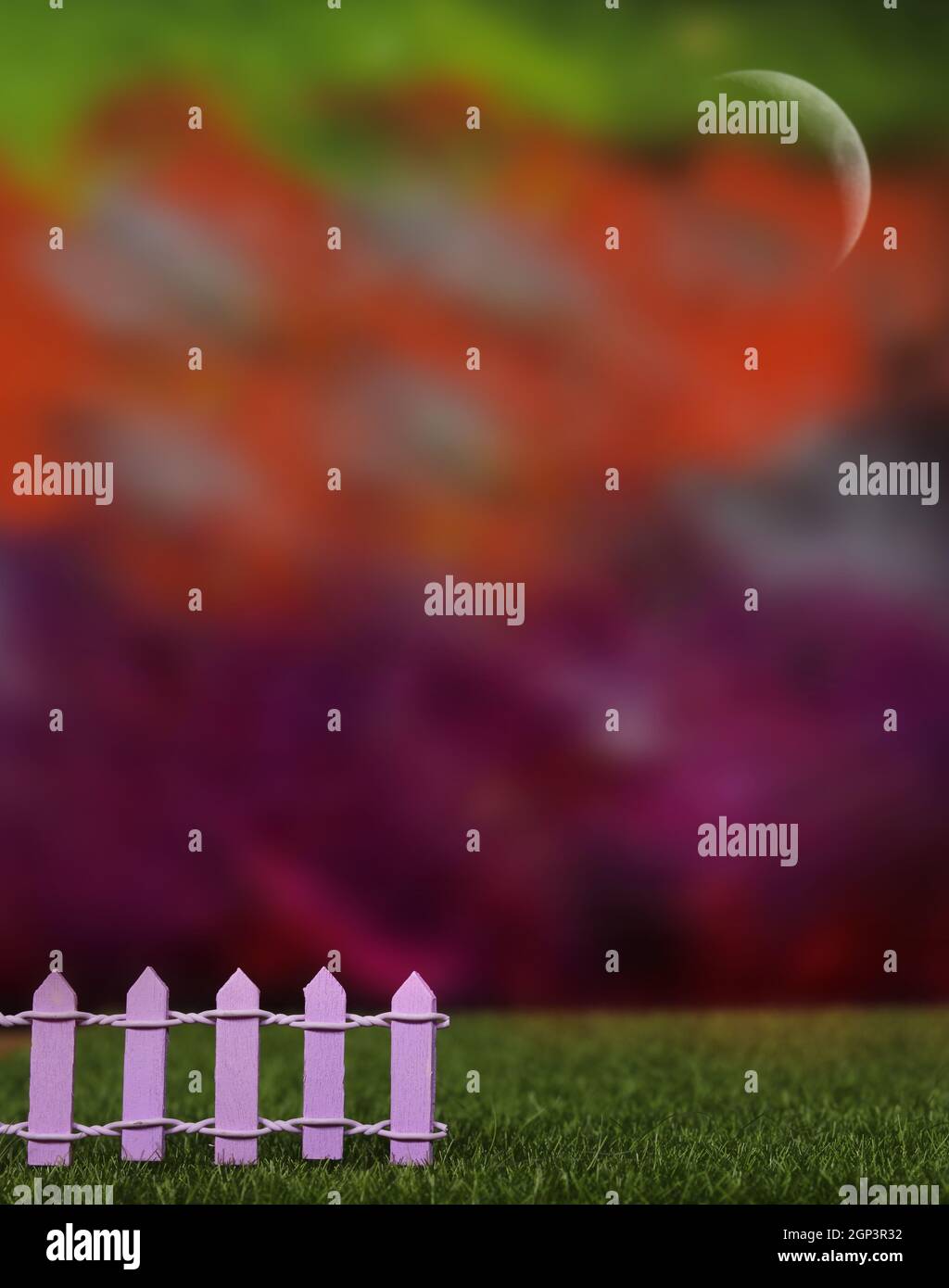 Wooden Fence With Grass and Moon Blurred Glitter Background Stock Photo ...
