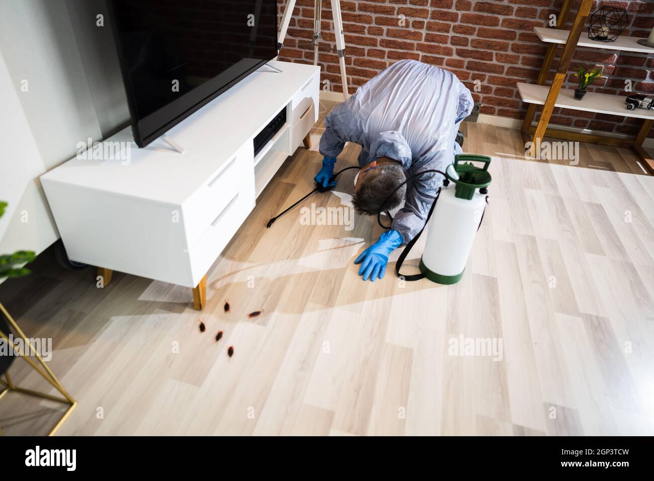 Pest Control Exterminator Services Spraying Cockroach Insecticide Stock ...