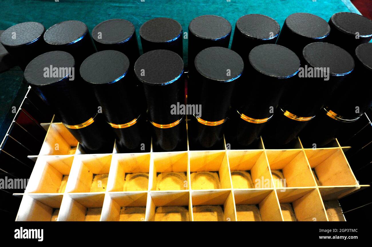 Scientist graduation diploma hi-res stock photography and images - Alamy