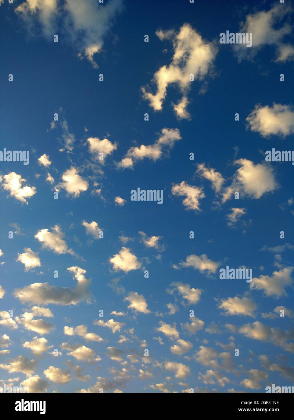 Clouds in the morning sunlight against the blue sky Stock Photo - Alamy