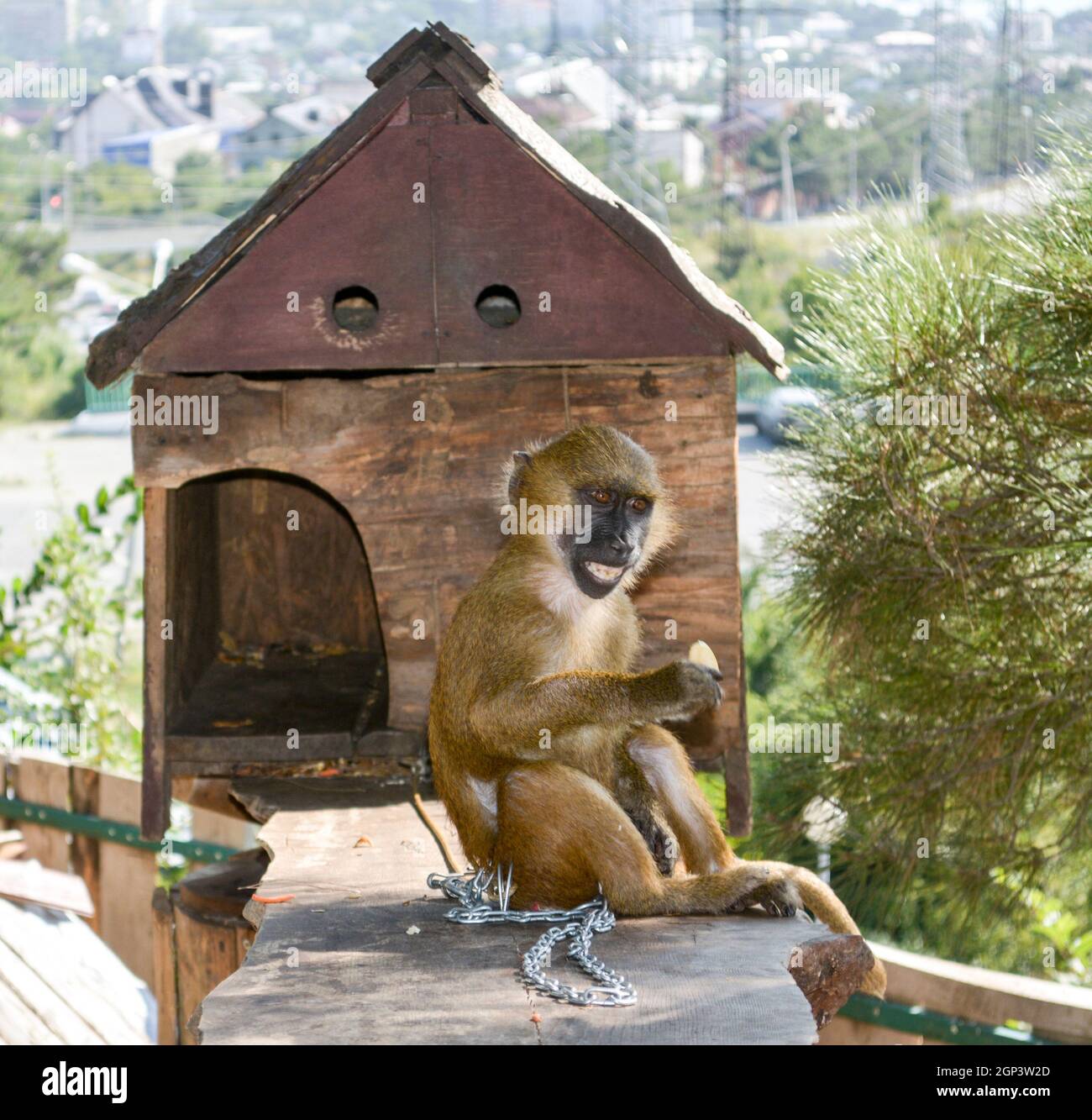 Funny zoo signs hi-res stock photography and images - Alamy