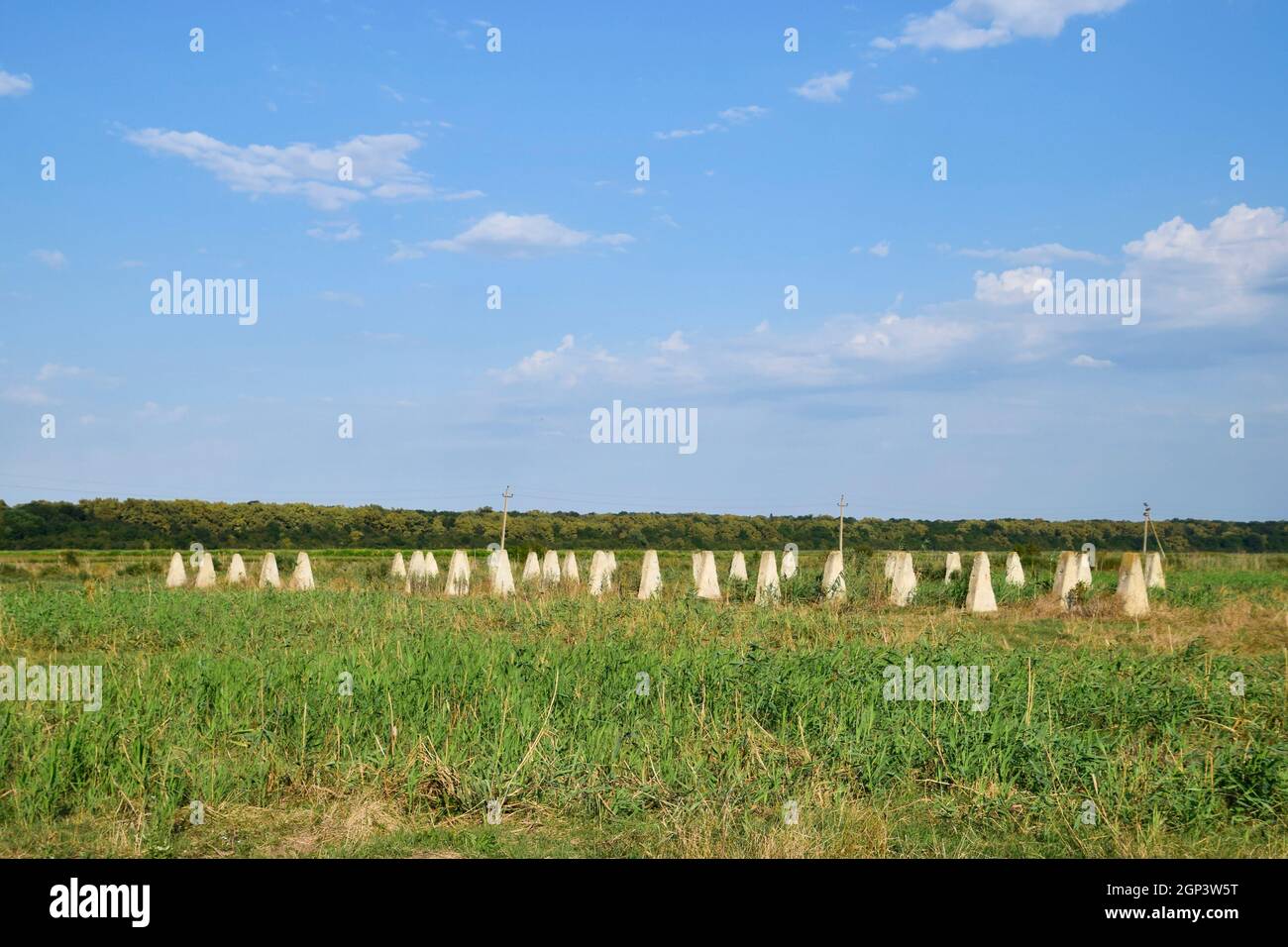 The ruins of the old farm. Cones column base of the wall. Abandoned and ...