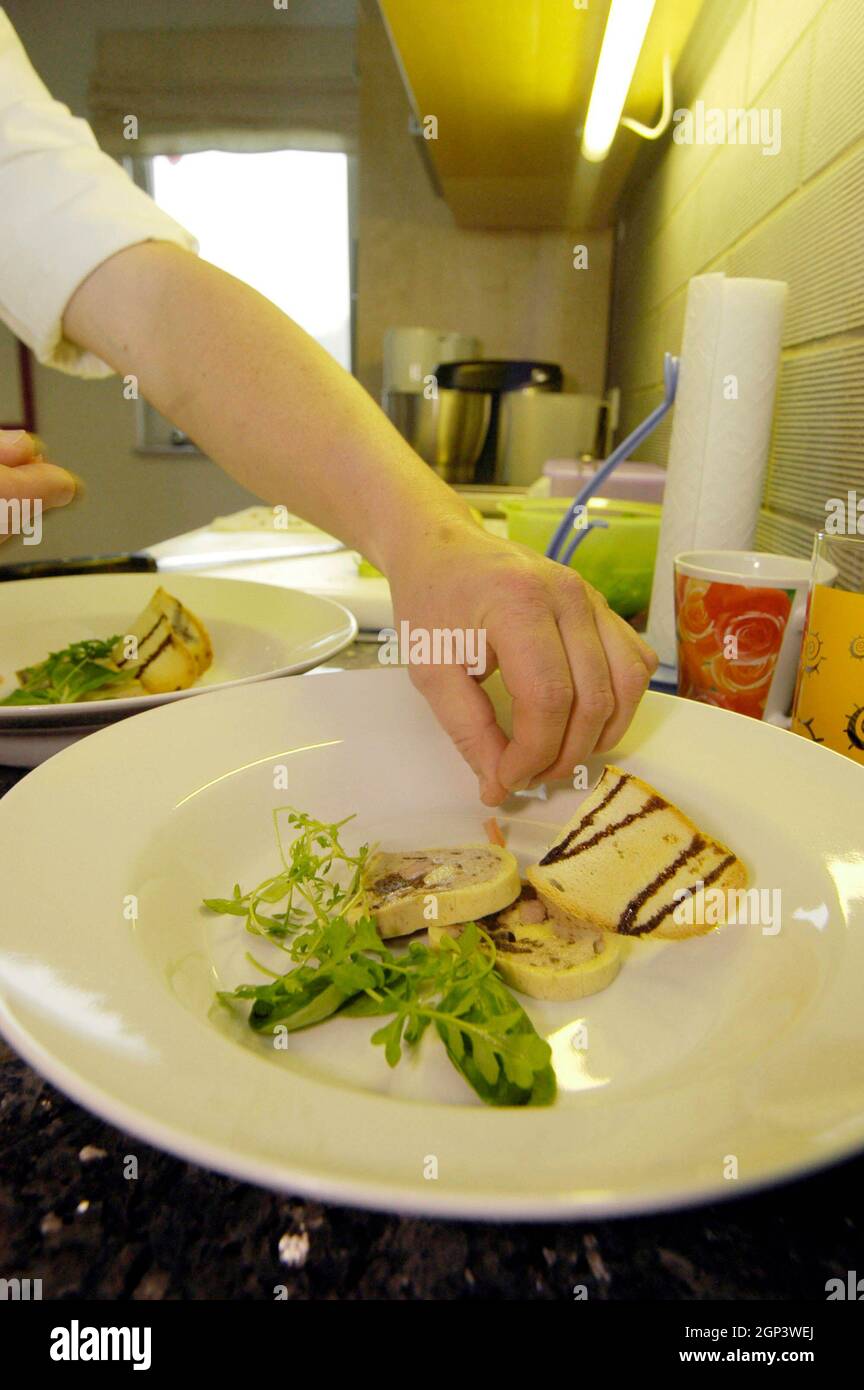 the preparation of dishes in the gastronomy, cooking and lifestyle ...