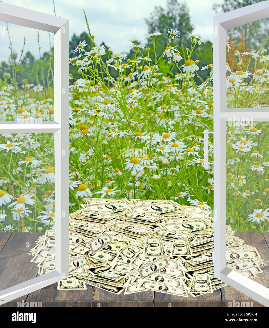 Ox Eye Window High Resolution Stock Photography and Images - Alamy