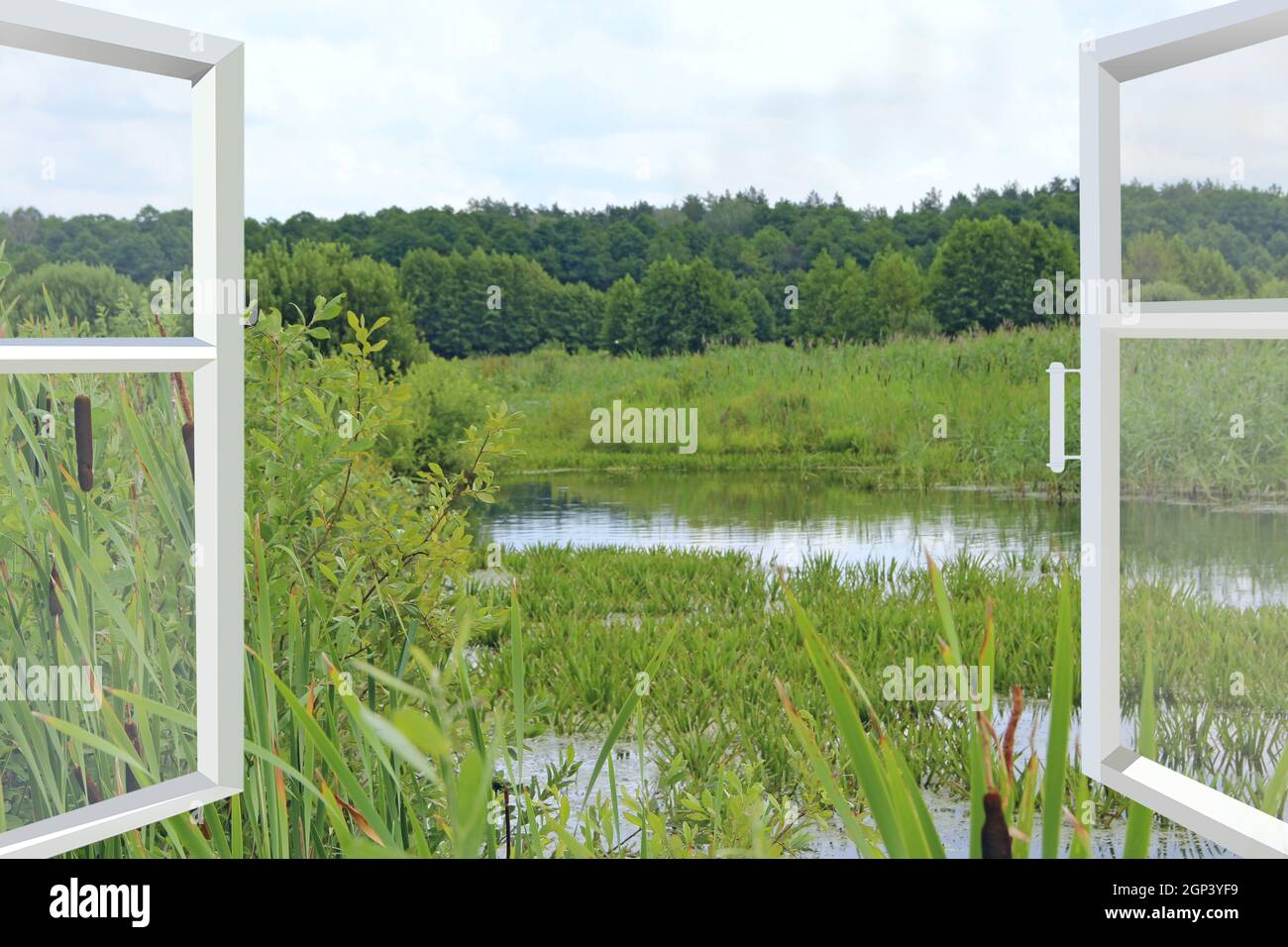 Room with wide window overlooking landscape with lake surrounded with ...
