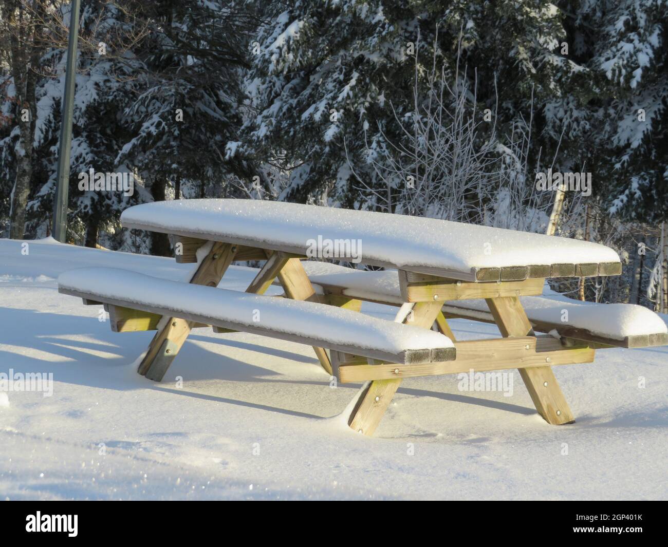 snow white cold winter beautiful ice cream trees landscape Stock Photo ...