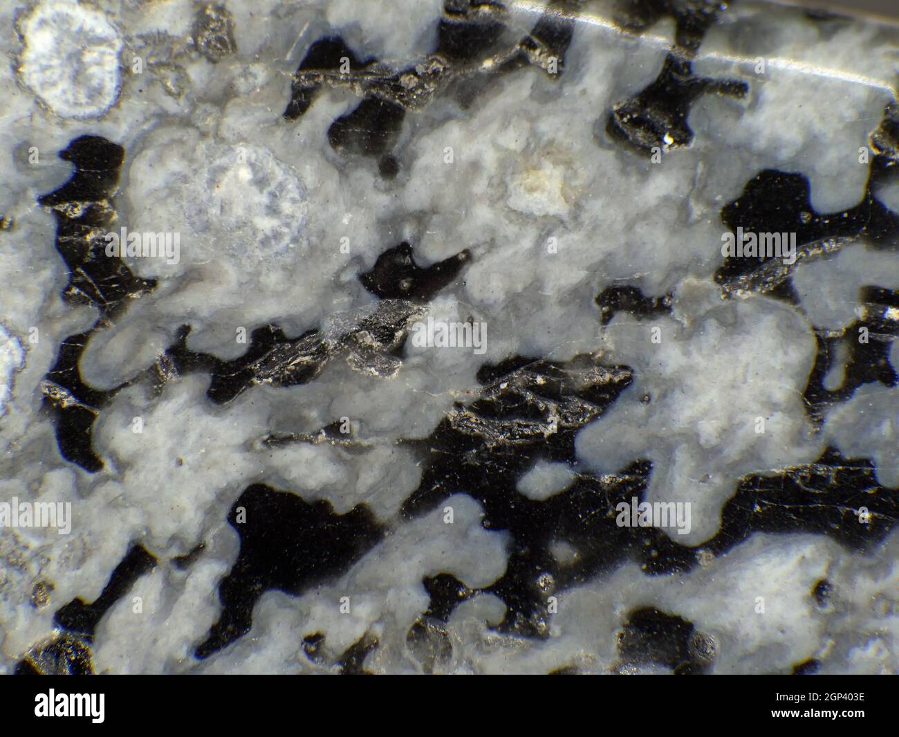 Obsidian tool hi-res stock photography and images - Alamy