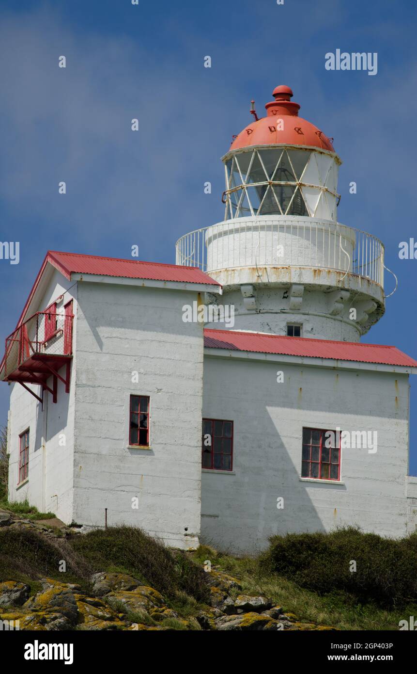 Lighthouse in Taiaroa Head. Taiaroa Head Wildlife Reserve. Otago ...