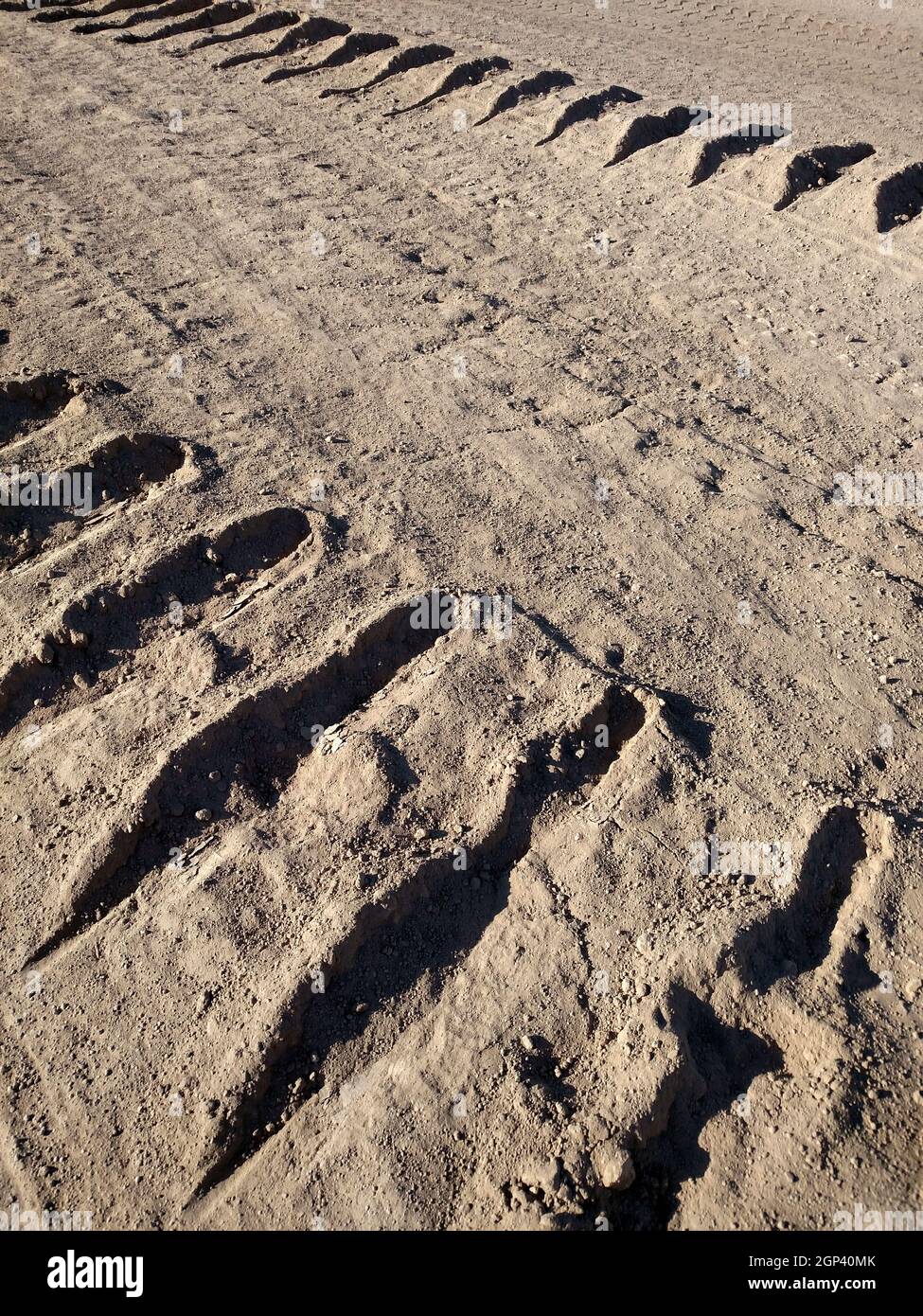 Bulldozer tracks remained on the dry clay road Stock Photo - Alamy