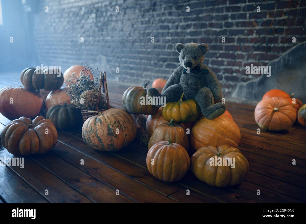 Pumpkins and teddy bear, nobody, demons casting out. Exorcism concept ...