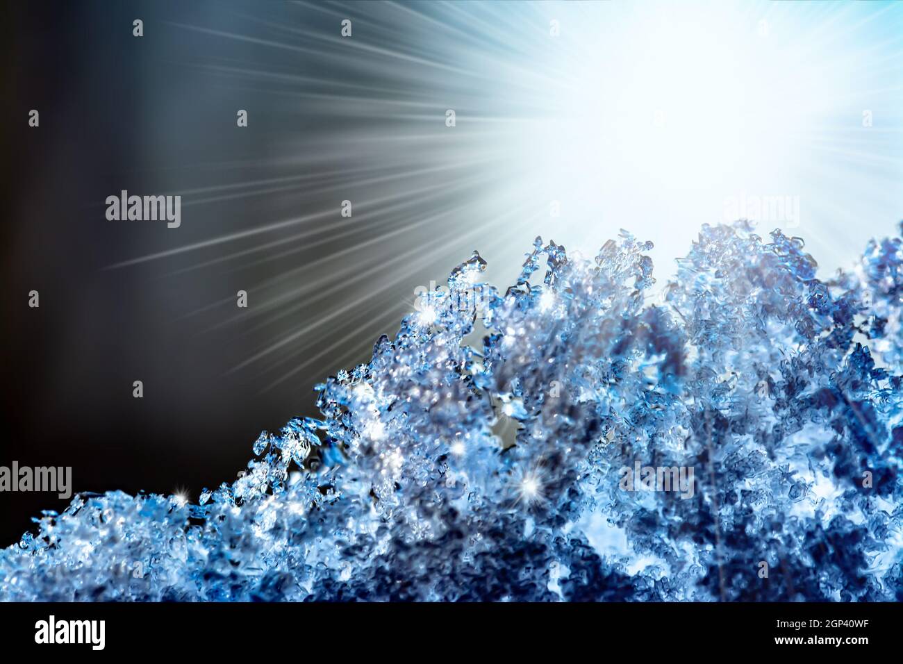 Natural snow texture with bright rays of the sun and sun glare. Close ...