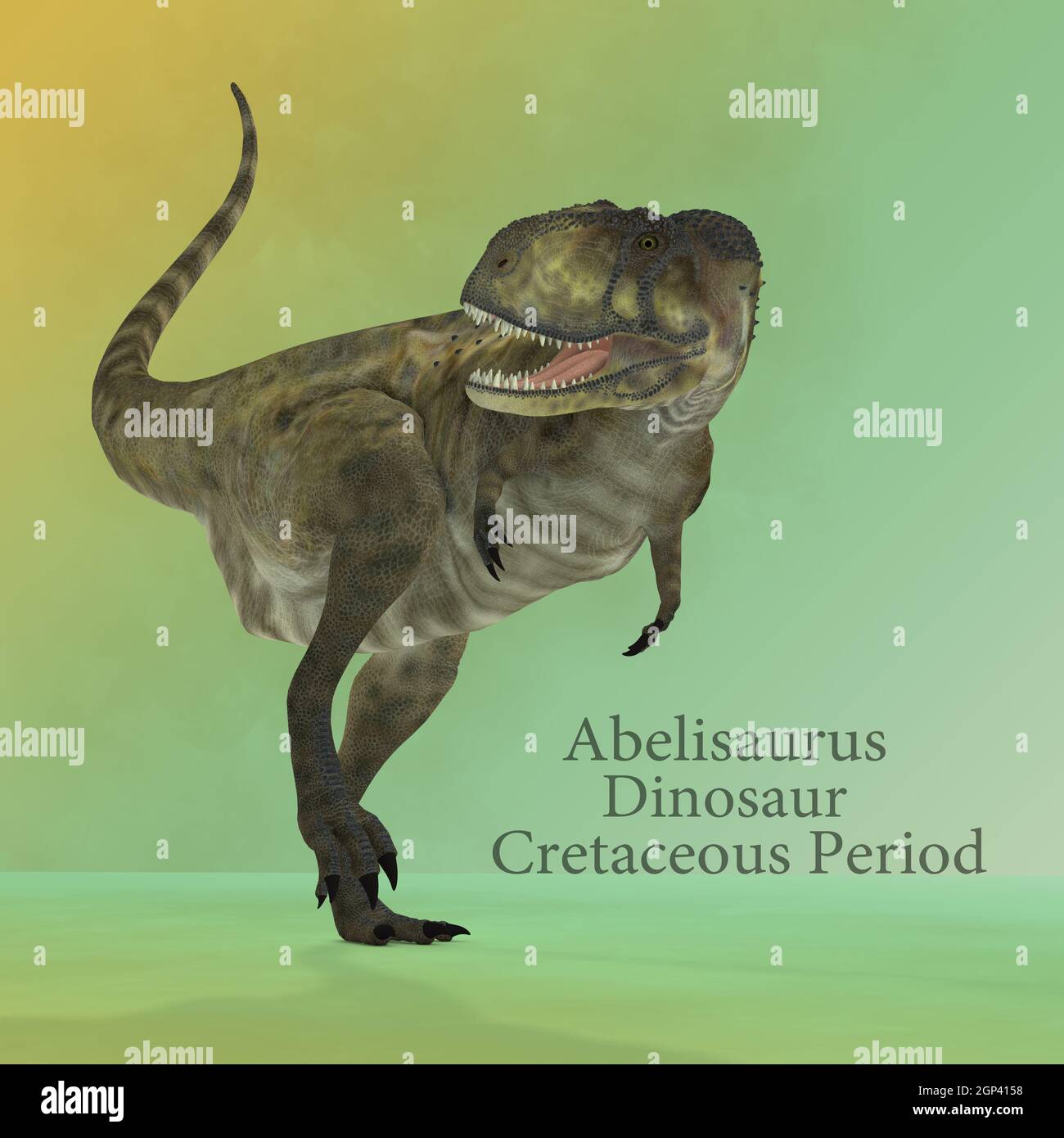 Abelisaurus was a carnivorous theropod dinosaur that lived in Argentina ...