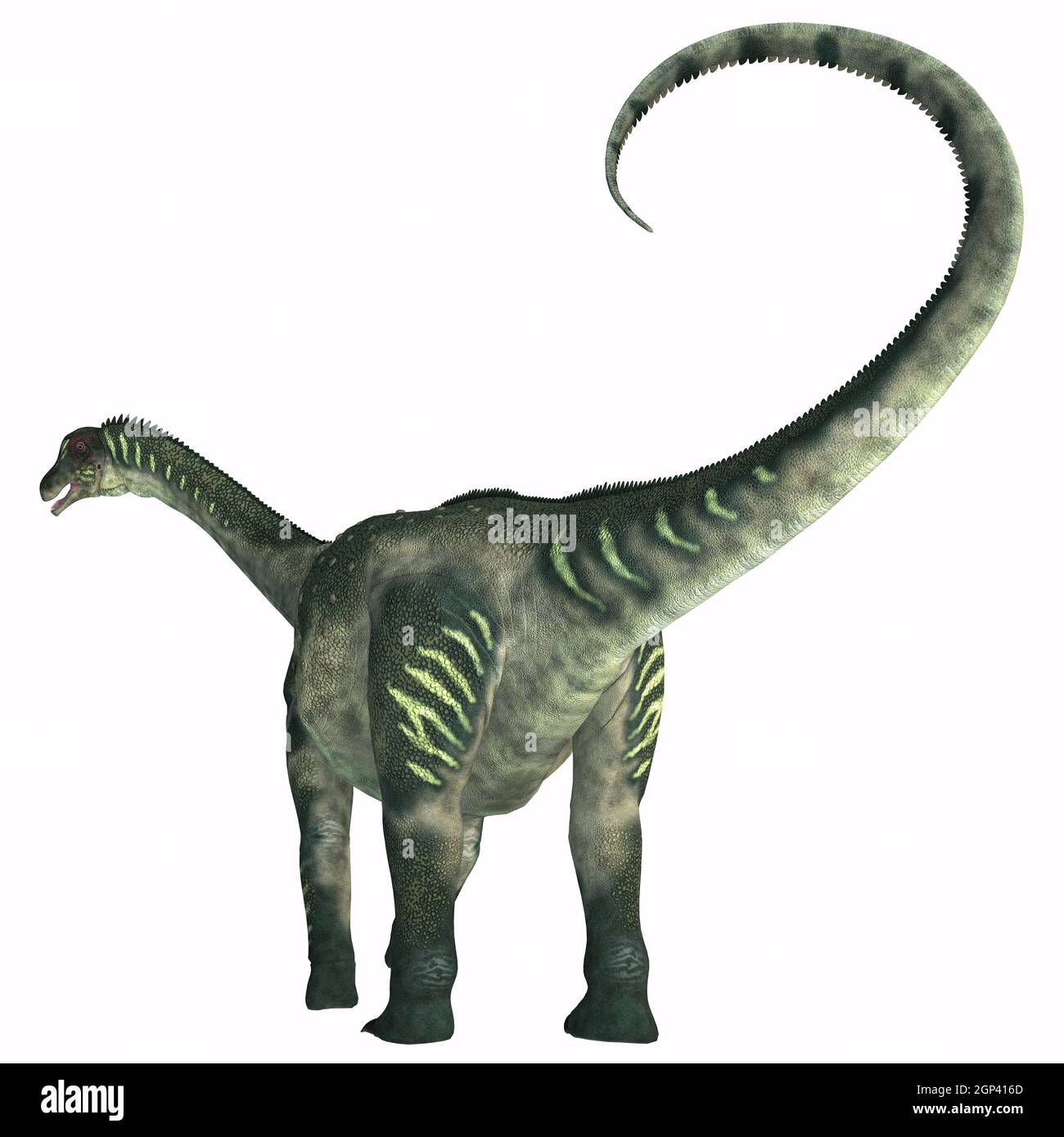 Giant sauropod dinosaur Cut Out Stock Images & Pictures - Alamy