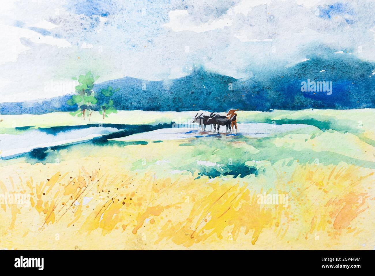 Nice watercolour painting of Indian farmer man ploughing agricultutal ...