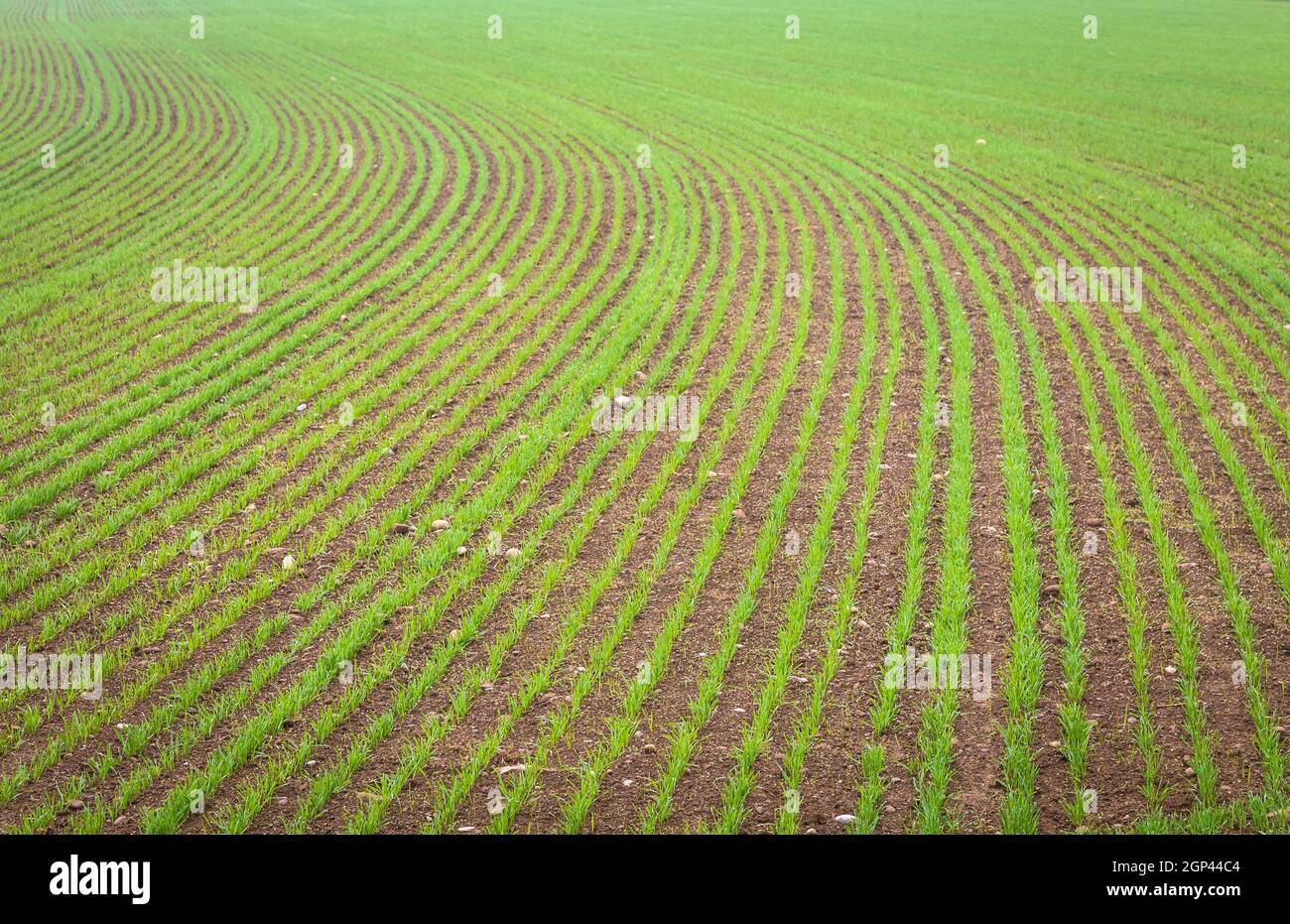 Natural environment background useful for concepts related to country ...