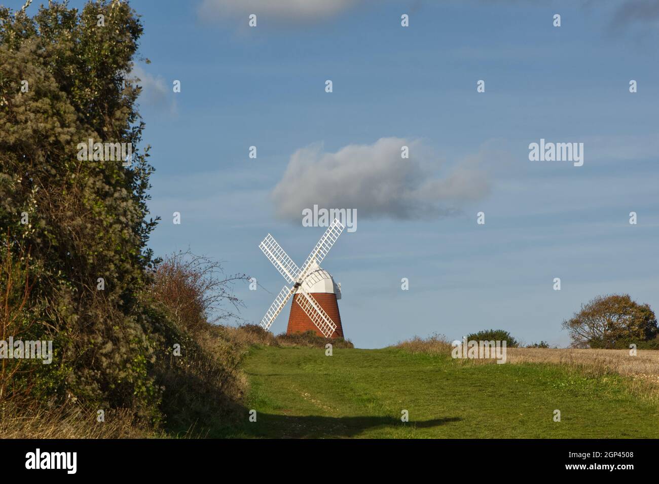 Brick built windmill at Halnaker, near Chichester, West Sussex, England ...