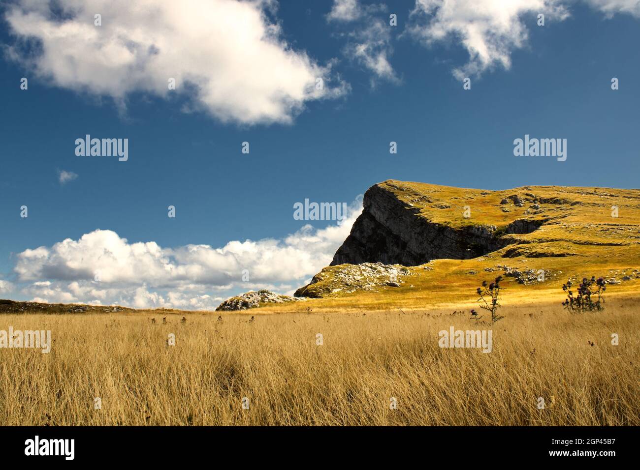 Mesmerizing view of a huge rock in the field against cloudy sky Stock ...