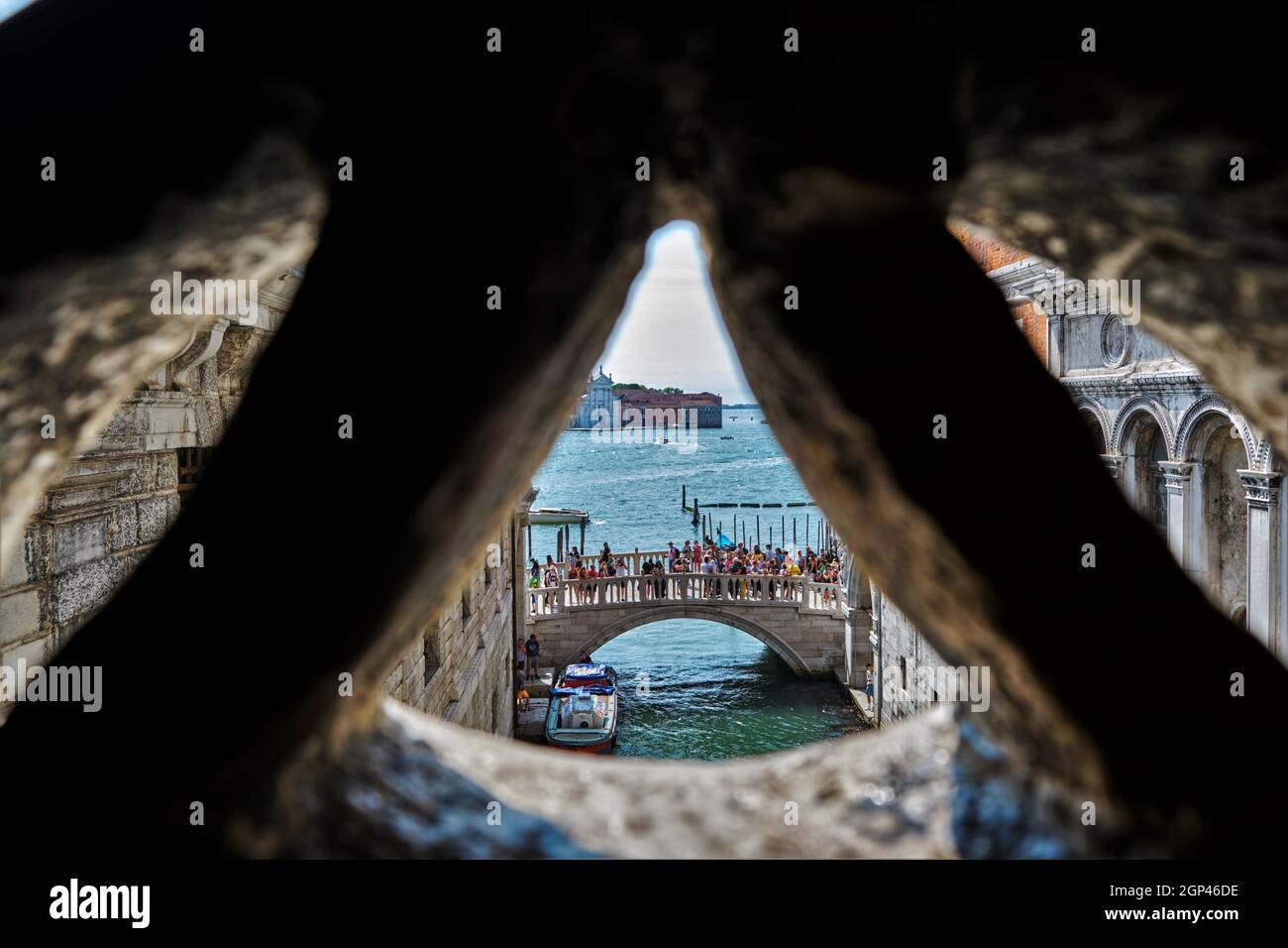 Natural Frame Photography