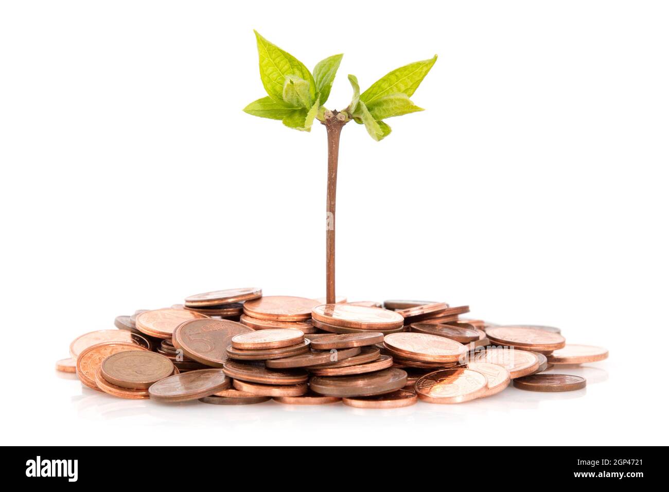 Plant growing out of copper coins isolated on white background Stock ...