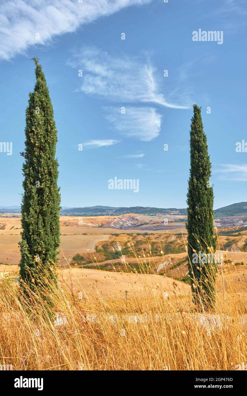 Postcards framing hi-res stock photography and images - Alamy