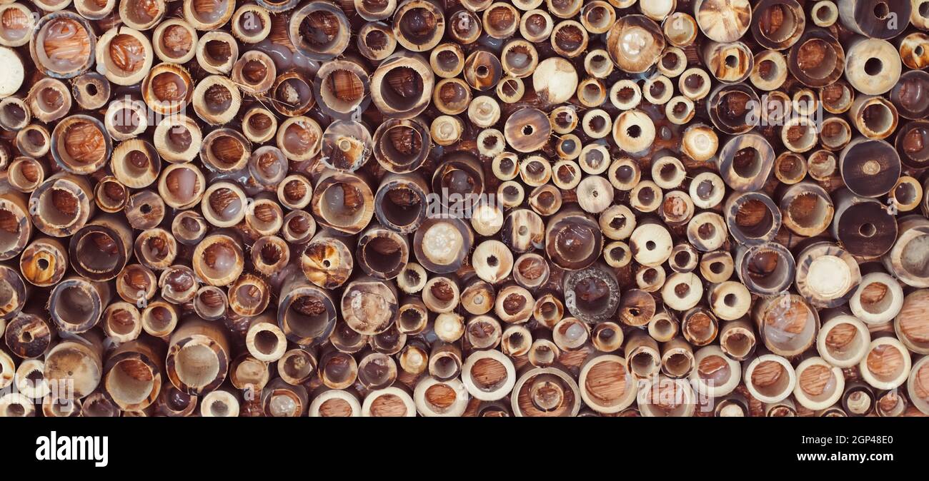 Bamboo wooden section cutting and design for backdrop background ...