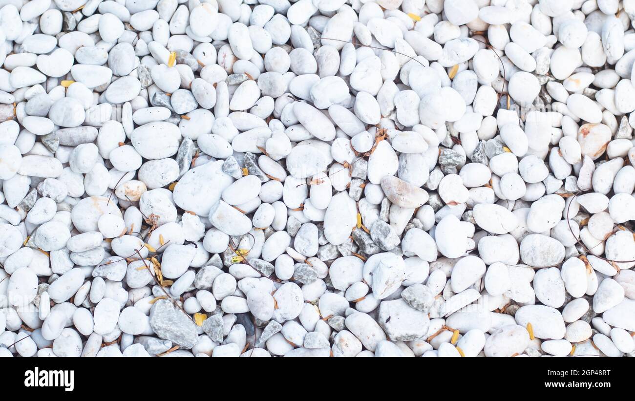 White pebbles stone texture and background Stock Photo - Alamy